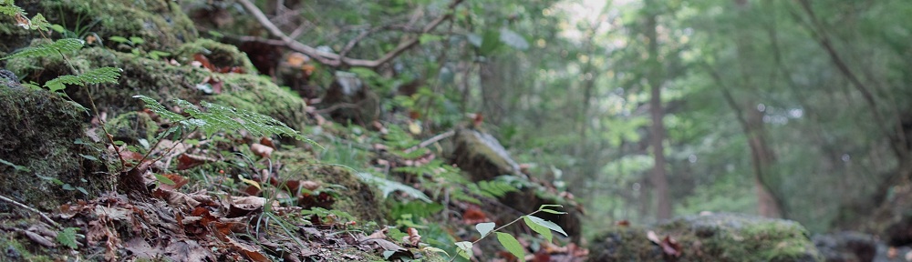 0001.jpg | Risaiku リサイク