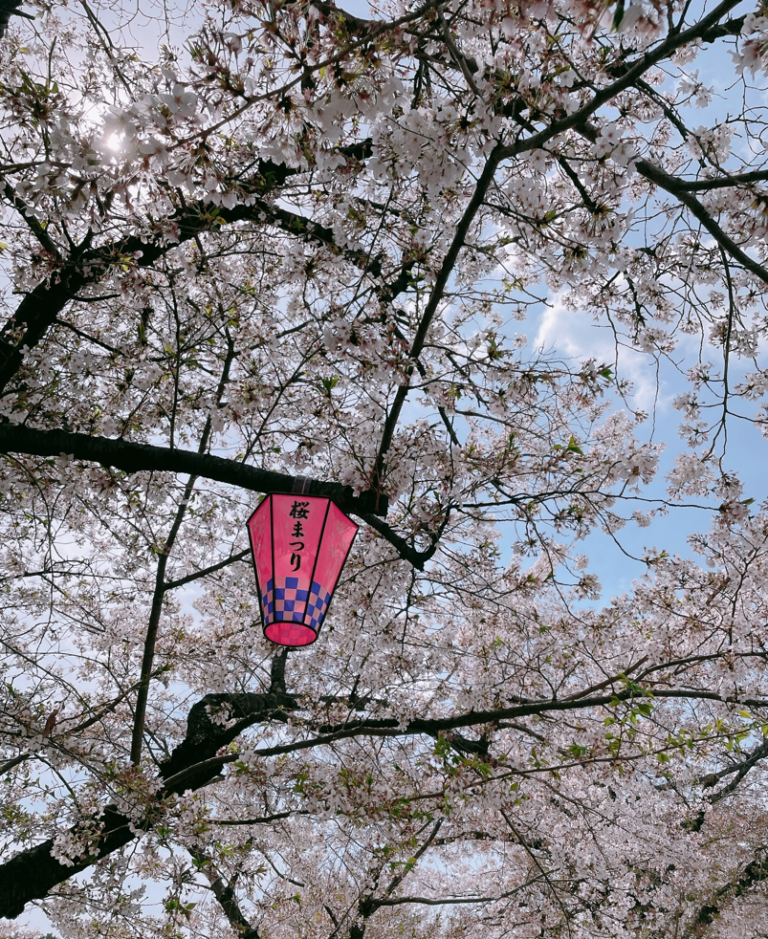 話題のChatGPTを触ってみた！！ | Risaiku リサイク