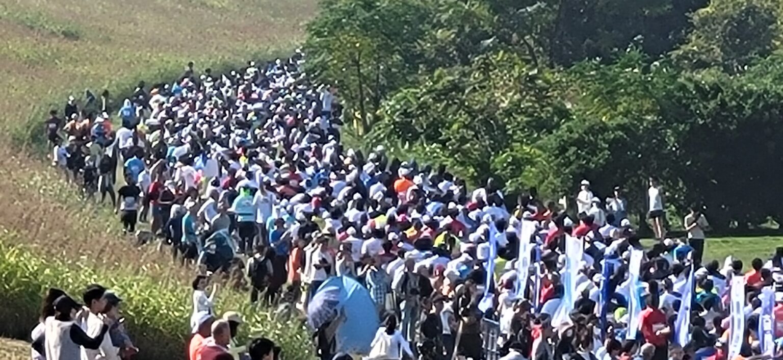 初めてのフルマラソンはこんな感じでした（大阪・淀川市民マラソン参戦記） | Risaiku リサイク